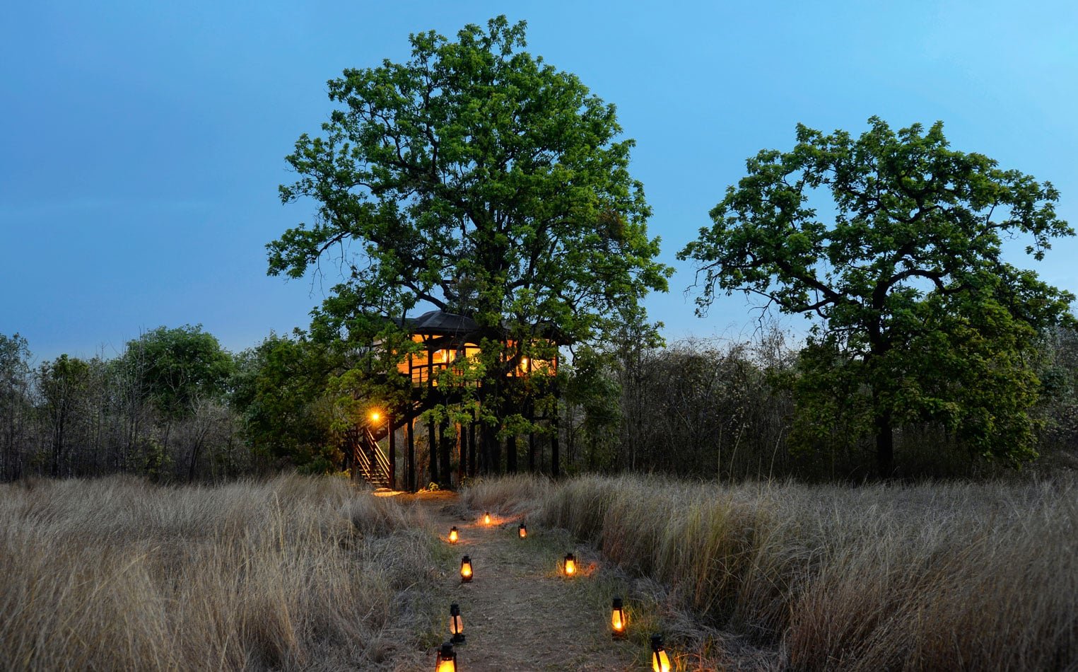 Pench Tree Lodge | #1 Luxury Safari Stay in Pench National Park, India