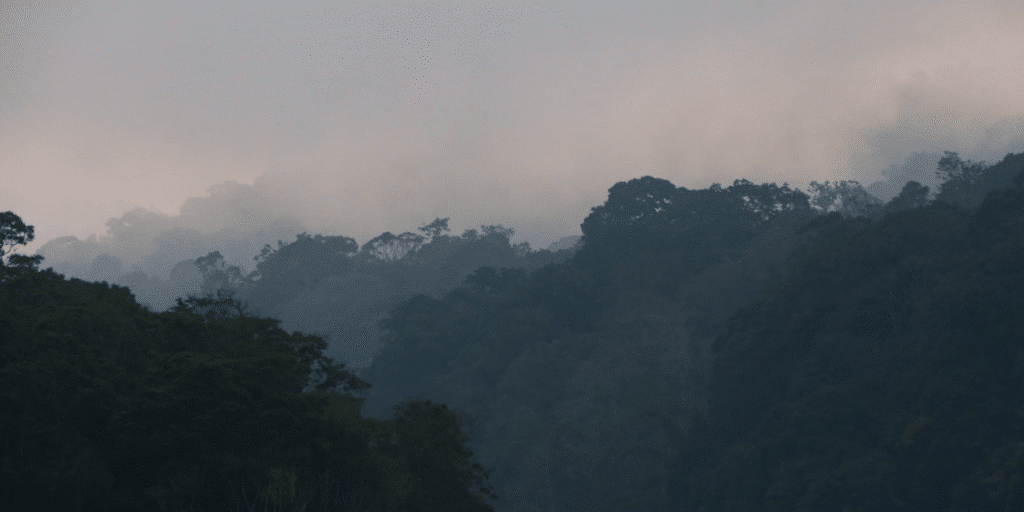 Periyar Tiger Reserve - Tiger Safari Tours India - Wildlife Tours