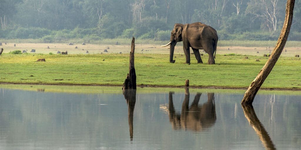 Nagarhole National Park - Tiger Safari Tours India