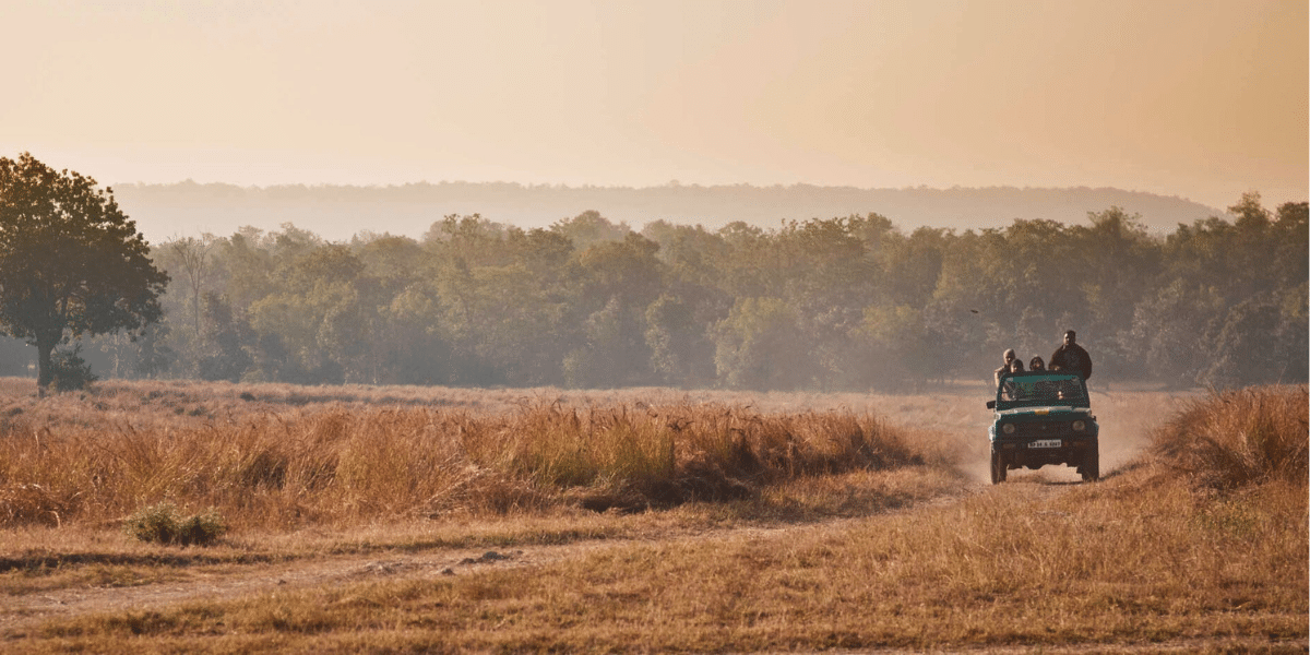 Travel Guide To Pench National Park | Activities In Pench